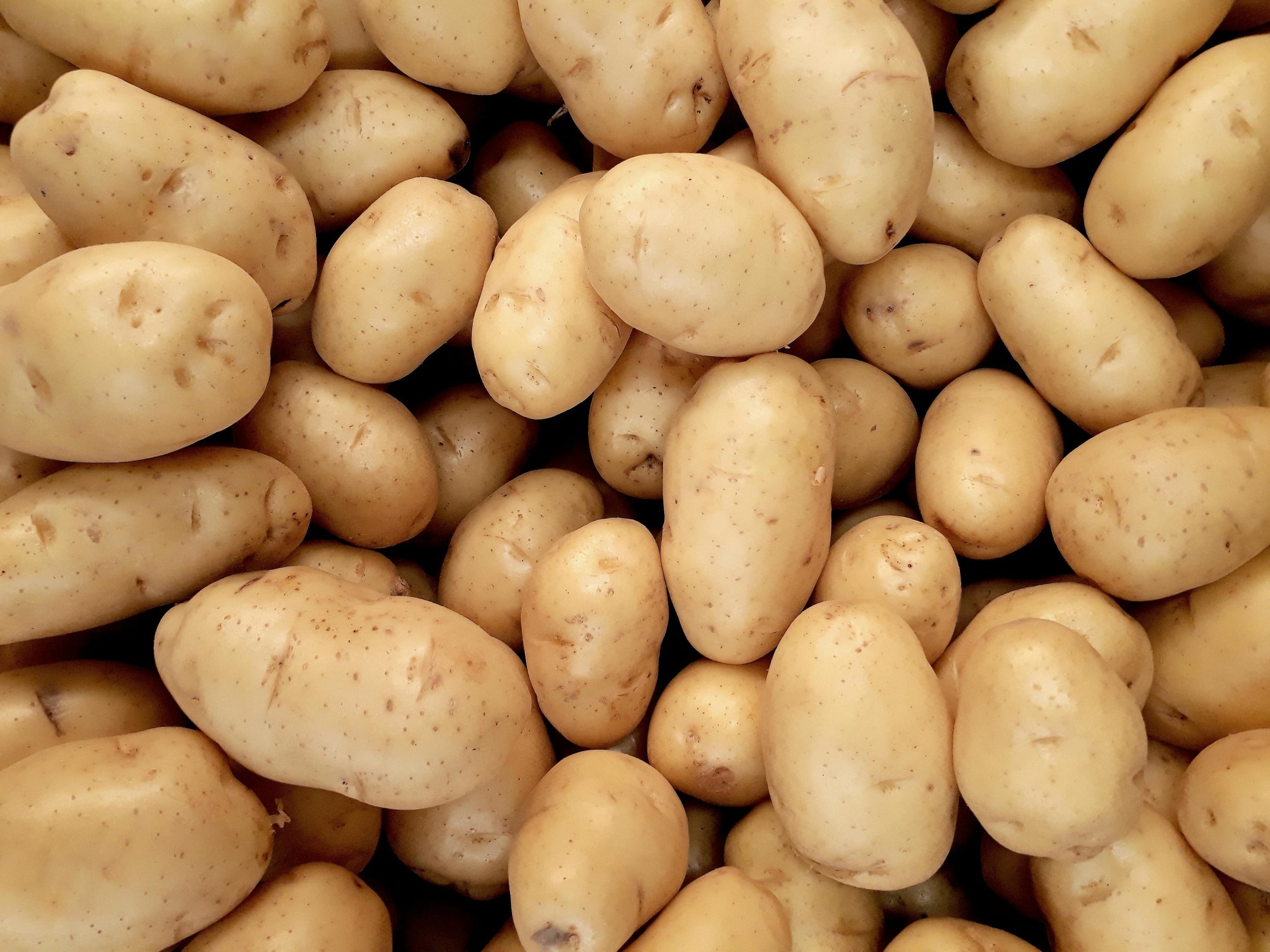South Dakota Grown Potatoes In Season Now - South Dakota Specialty ...