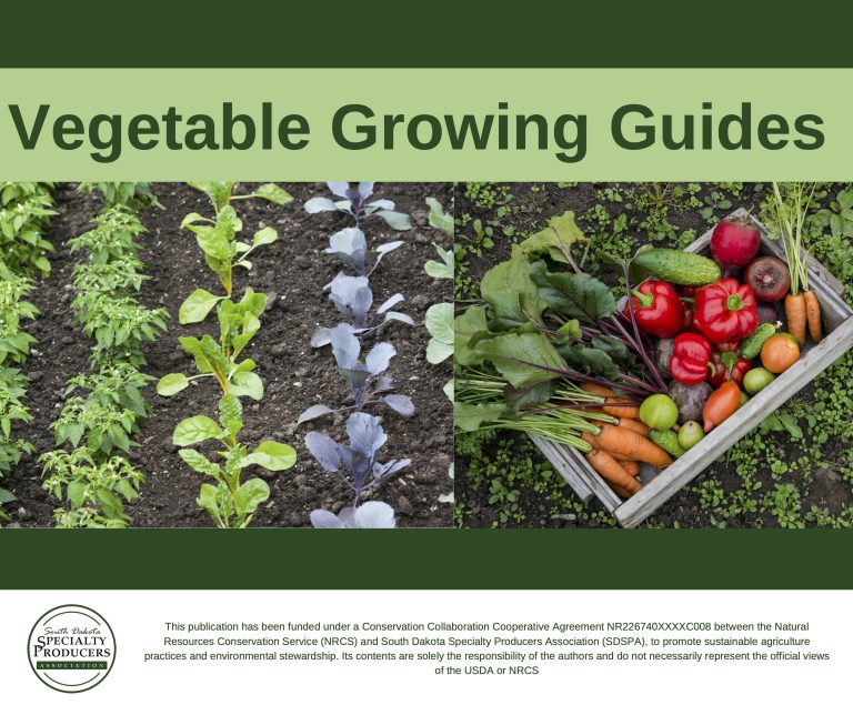 Resource: Vegetable Production Guides - South Dakota Specialty ...