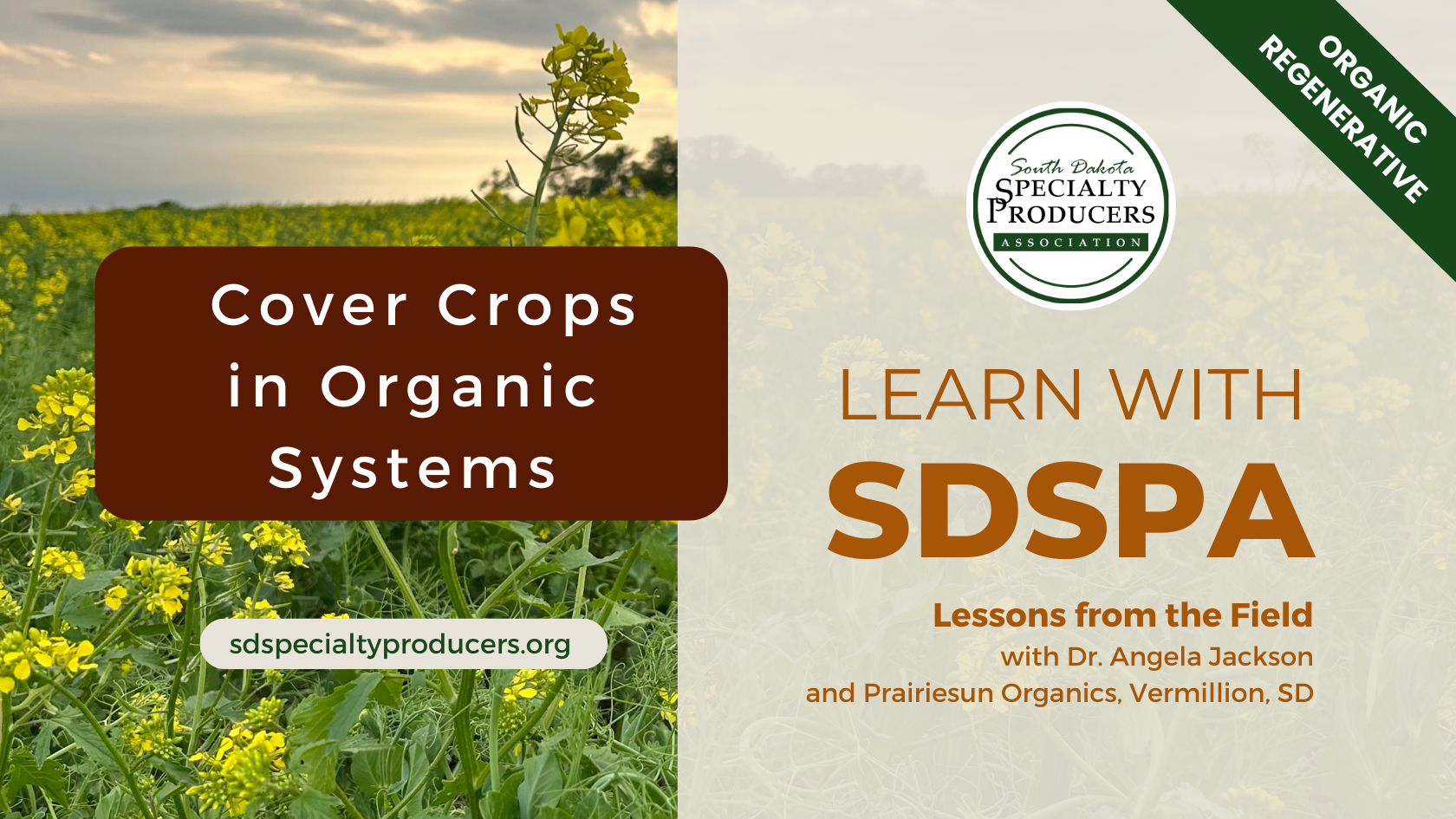 Video: Cover Crops for Soil Health - South Dakota Specialty Producers ...
